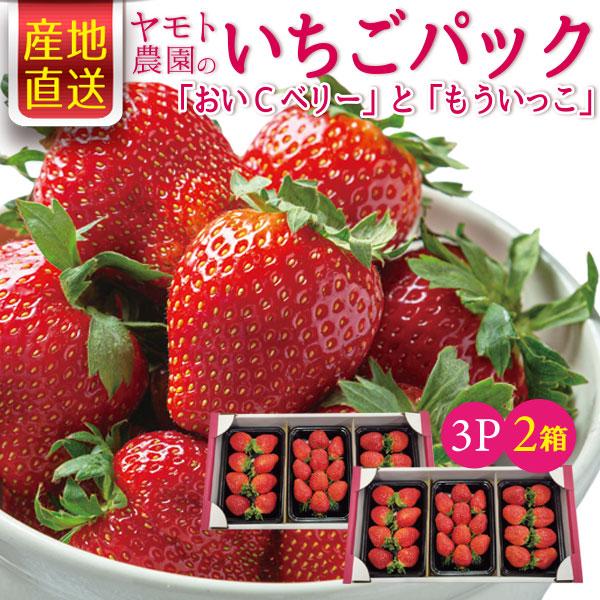 【商品名】山梨県産 ヤモト農園のいちご【商品内容】「おいCベリー」または「もういっこ」 6粒〜15粒入り（240g）×3パックを2箱　※合計6パック入り※品種は選べません。【生産者(生産地)】ヤモト農園（山梨県甲斐市）【配送方法】当社指定運...