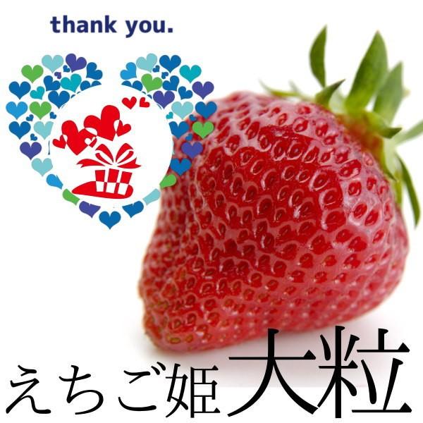 【発売日：2026年02月24日】イチゴが大好きな大切な方への贈り物に！新潟の高級いちご「越後姫」贈答用ギフトセットの販売です。化粧箱入り中でも、大玉ＬＬサイズ 15粒 400ｇ前後をお届けいたします。【品種】　　越後姫【内容量】　400ｇ...