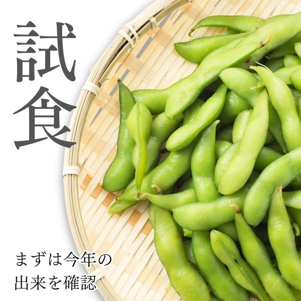 【発売日：2026年06月25日】高級な新潟枝豆「黒埼茶豆」で有名な新潟市西区の新通地域で生産した枝豆を産地直送でお取り寄せしてください。とっても美味しい高級ブランド枝豆。生産者様の生産技術が詰まった甘さも香りも極上の一品です。大切な方に贈...