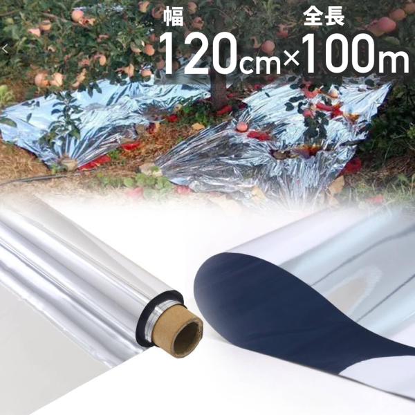 アルミ反射シート 幅120cm×全長100m◆光合成を促進太陽光を乱反射し、光を行き渡らせるアルミ反射シートです。農業資材の1種で地熱抑制効果や果樹の糖度・着色の向上、害虫被害の抑制などに効果があります。 使用の有無で着色の進み具合が格段違...