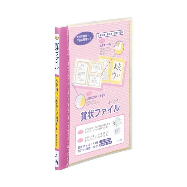 カラー：ピンクサイズ：A3ポケット枚数10枚 ポケットサイズ:318×439mm 収納枚数:20枚付属品:PVC三角ストッパー60片(小サイズ固定用)梱包サイズ:2.0x34.0x46.0(Cm)原産国:中国
