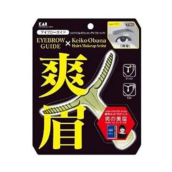 カラー：グレーサイズ：1個 (x 1)眉のベースとなる形をつくるアイブローガイドガイドからはみ出た部分をカットするだけで、左右対称でバランスが良い眉に原材料・成分:ABS樹脂原産国:日本内容量:1個寸法:30×140×175mm