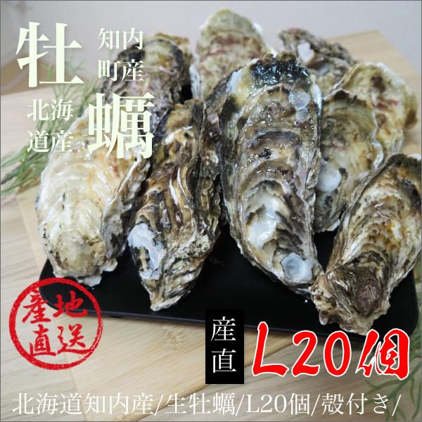 【発売日：2012年02月03日】参考までに写真は2025年１２月９日現在の身の具合です大きさの目安Ｌサイズ：殻付の重さで１４０〜１９０ｇ前後（目安です）津軽海峡の牡蠣養殖は、北海道漁師の冬期間で極て短く空いてる時期に出荷が行われる貴重な食...