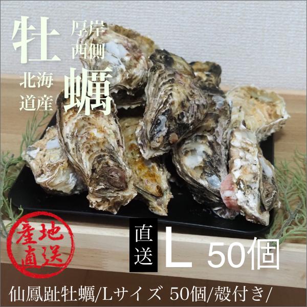 【発売日：2010年02月10日】2024年度　北海道釧路町仙鳳趾　生食用牡蠣　出荷開始日本テレビ系列『どっちの料理ショー』特選素材に選定されてます。仙鳳趾の牡蠣は甘みもあり味が濃厚です。仙鳳趾の牡蠣は、水温の低い釧路なので一年通して安心し...