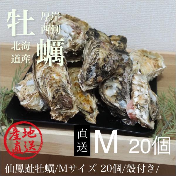 【発売日：2010年02月10日】日本テレビ系列『どっちの料理ショー』特選素材に選定されてます。仙鳳趾(せんぽうし）の牡蠣は甘みもあり味が濃厚です。仙鳳趾の牡蠣は、水温の低い釧路なので一年通して安心して美味しく頂けます。(BBQ バーベキュ...