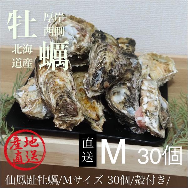 【発売日：2010年02月10日】日本テレビ系列『どっちの料理ショー』特選素材に選定されてます。仙鳳趾(せんぽうし）の牡蠣は甘みもあり味が濃厚です。仙鳳趾の牡蠣は、水温の低い釧路なので一年通して安心して美味しく頂けます。(BBQ バーベキュ...
