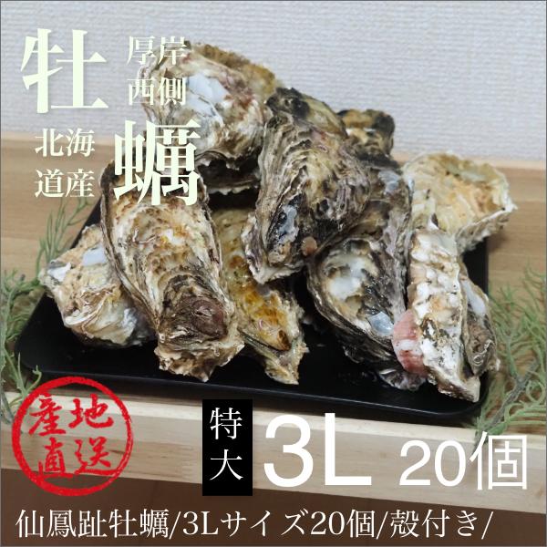 【発売日：2011年02月15日】日本テレビ系列『どっちの料理ショー』特選素材に選定されてます。仙鳳趾〈せんぽうし）の牡蠣は甘みもあり味が濃厚です。幻の特大サイズは管内でも当社のみの取り扱いです【週限定120個】年内1回目の出品です、数に限...