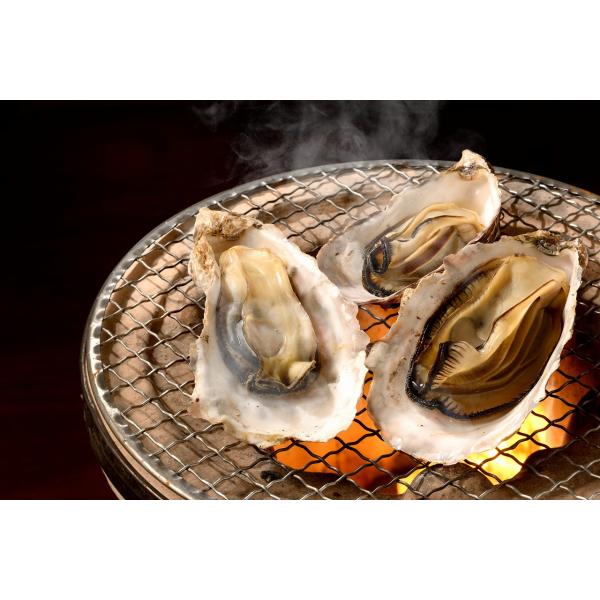 【発売日：2010年02月10日】2026年度　北海道釧路町仙鳳趾　生食用牡蠣　出荷開始商標登録第6077570号　姫牡蠣ブランド(R)重要なおいしさポイント/牡蠣の身の入り方最後までお読みくだされば、よい物にあたると思いますのでお願いいた...
