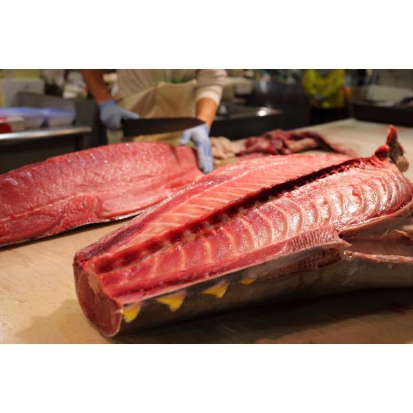 【発売日：2025年10月27日】プロ仕様　業務用　まとめてお買い得重要：黒本マグロは、キロ当たりの単価になりますので量り売りとなり、店舗側での金額修正しての再計算して精算になりますのでクレジットカードのみのお取り扱いとさせていただきます。...