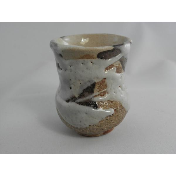 【発売日：2019年01月23日】荒川 明の陶房は浜松の山奥の引佐町奥山にあり、その名前の通り、山奥となります。そこには古い時代に使われた薪窯を荒川明が独自に工夫をして窯を作りました。   自然の炎色、自然釉、灰かぶりの美しさの中に大胆な景...