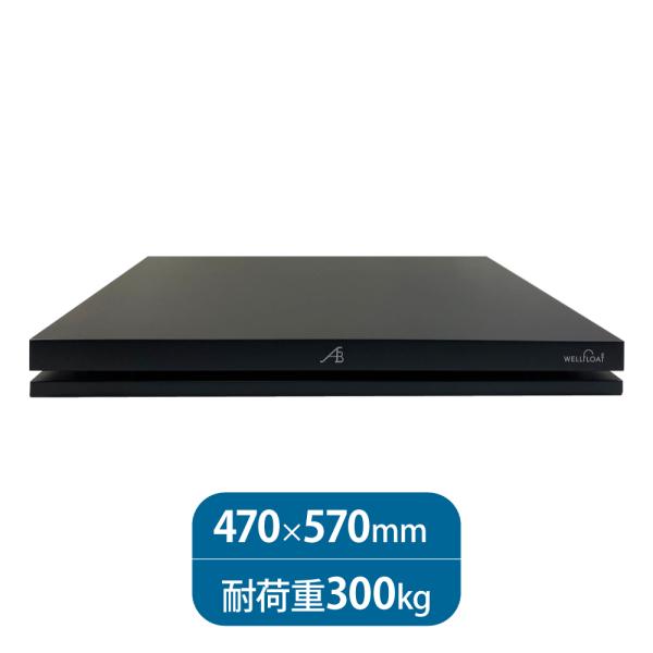 レコードプレーヤーのハウリングを強力に防止し、音の広がりと細やかさ、躍動感を大幅に改善します。その大きな効果を是非あなたのプレーヤーでお試しください。