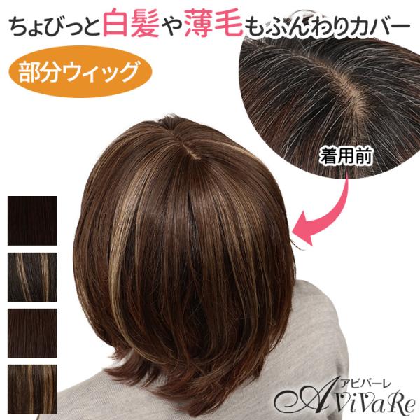 白髪や薄毛をふんわりカバーヘアウィッグ 部分ウィッグ 頭頂部 つむじ 白髪 ヘアピース 分け目 ウィッグ 部分 自然 白髪隠し ボリュームアップ 増毛 部分かつら 部分用 ウイッグ ポイントウィッグ 目立たない スキン付 耐熱
