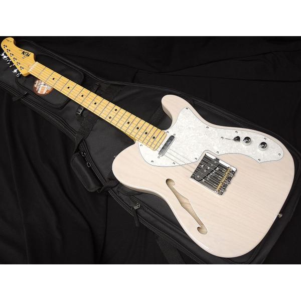 FUJIGEN FGN NTE100MAHT WB シンライン テレキャスタータイプ FUJIGEN FGN NTE100MAHT WB シンライン テレキャスタータイプ