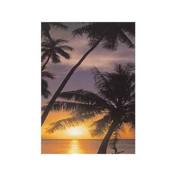 ■こちらの商品は海外倉庫からの取り寄せとなるため、お届けまでに5〜14営業日程度のお時間をいただいております。■ご注文後の取り寄せ状況はメールにて随時お知らせ致します。■稀に輸送による外箱のダメージや、税関検査による開封跡がある場合がござい...