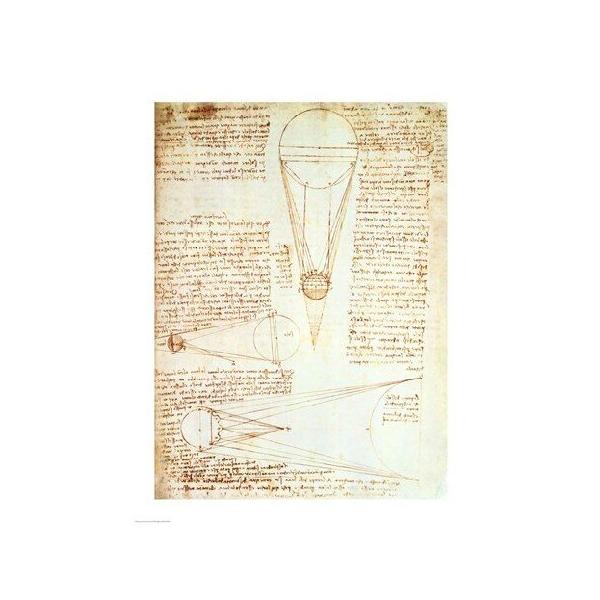 ■こちらの商品は海外倉庫からの取り寄せとなるため、お届けまでに5〜14営業日程度のお時間をいただいております。■ご注文後の取り寄せ状況はメールにて随時お知らせ致します。■稀に輸送による外箱のダメージや、税関検査による開封跡がある場合がござい...