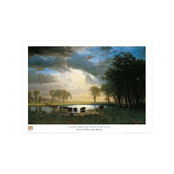 ■こちらの商品は海外倉庫からの取り寄せとなるため、お届けまでに5〜14営業日程度のお時間をいただいております。■ご注文後の取り寄せ状況はメールにて随時お知らせ致します。■稀に輸送による外箱のダメージや、税関検査による開封跡がある場合がござい...