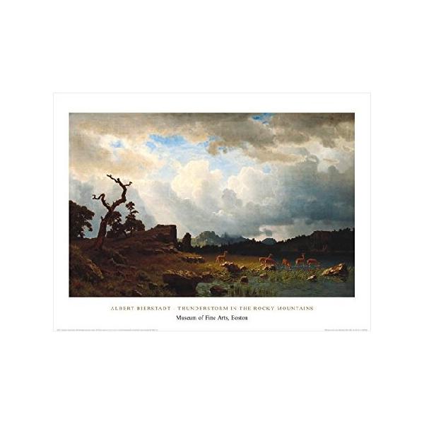 ■こちらの商品は海外倉庫からの取り寄せとなるため、お届けまでに5〜14営業日程度のお時間をいただいております。■ご注文後の取り寄せ状況はメールにて随時お知らせ致します。■稀に輸送による外箱のダメージや、税関検査による開封跡がある場合がござい...