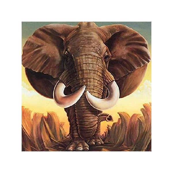 ■こちらの商品は海外倉庫からの取り寄せとなるため、お届けまでに5〜14営業日程度のお時間をいただいております。■ご注文後の取り寄せ状況はメールにて随時お知らせ致します。■稀に輸送による外箱のダメージや、税関検査による開封跡がある場合がござい...