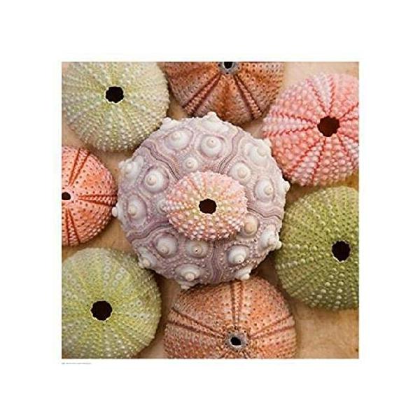 ■こちらの商品は海外倉庫からの取り寄せとなるため、お届けまでに5〜14営業日程度のお時間をいただいております。■ご注文後の取り寄せ状況はメールにて随時お知らせ致します。■稀に輸送による外箱のダメージや、税関検査による開封跡がある場合がござい...