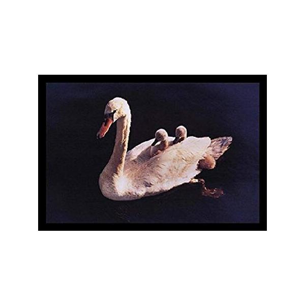 ■こちらの商品は海外倉庫からの取り寄せとなるため、お届けまでに5〜14営業日程度のお時間をいただいております。■ご注文後の取り寄せ状況はメールにて随時お知らせ致します。■稀に輸送による外箱のダメージや、税関検査による開封跡がある場合がござい...