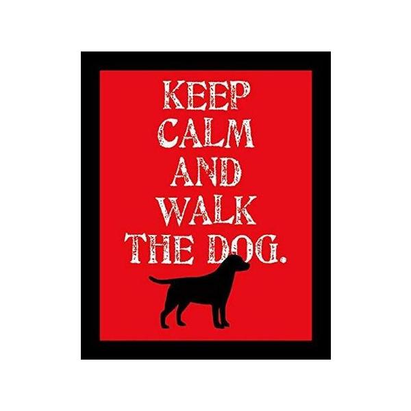 ■こちらの商品は海外倉庫からの取り寄せとなるため、お届けまでに5〜14営業日程度のお時間をいただいております。■ご注文後の取り寄せ状況はメールにて随時お知らせ致します。■稀に輸送による外箱のダメージや、税関検査による開封跡がある場合がござい...