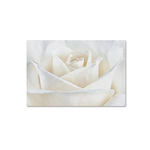 ■こちらの商品は海外倉庫からの取り寄せとなるため、お届けまでに5〜14営業日程度のお時間をいただいております。■ご注文後の取り寄せ状況はメールにて随時お知らせ致します。■稀に輸送による外箱のダメージや、税関検査による開封跡がある場合がござい...