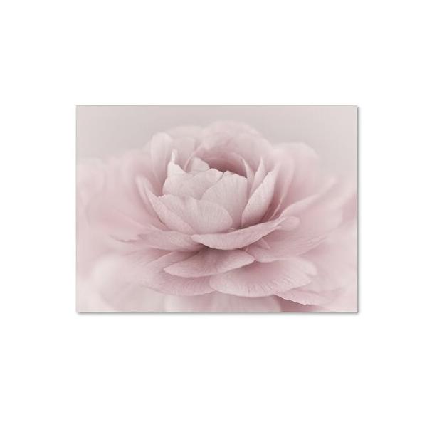 ■こちらの商品は海外倉庫からの取り寄せとなるため、お届けまでに5〜14営業日程度のお時間をいただいております。■ご注文後の取り寄せ状況はメールにて随時お知らせ致します。■稀に輸送による外箱のダメージや、税関検査による開封跡がある場合がござい...