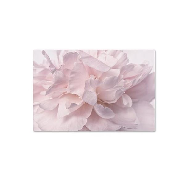 ■こちらの商品は海外倉庫からの取り寄せとなるため、お届けまでに5〜14営業日程度のお時間をいただいております。■ご注文後の取り寄せ状況はメールにて随時お知らせ致します。■稀に輸送による外箱のダメージや、税関検査による開封跡がある場合がござい...