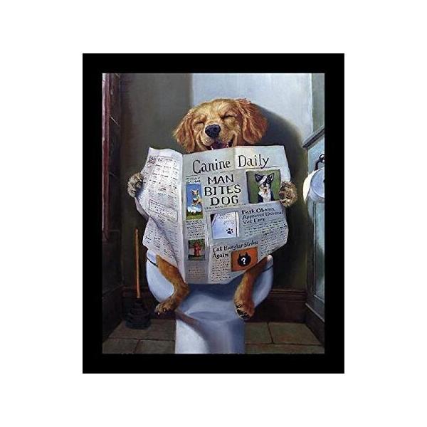 ■こちらの商品は海外倉庫からの取り寄せとなるため、お届けまでに5〜14営業日程度のお時間をいただいております。■ご注文後の取り寄せ状況はメールにて随時お知らせ致します。■稀に輸送による外箱のダメージや、税関検査による開封跡がある場合がござい...