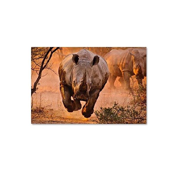 ■こちらの商品は海外倉庫からの取り寄せとなるため、お届けまでに5〜14営業日程度のお時間をいただいております。■ご注文後の取り寄せ状況はメールにて随時お知らせ致します。■稀に輸送による外箱のダメージや、税関検査による開封跡がある場合がござい...