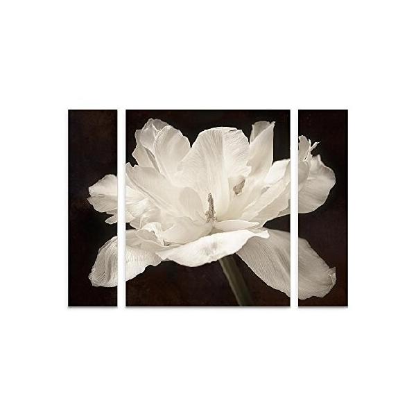 ■こちらの商品は海外倉庫からの取り寄せとなるため、お届けまでに5〜14営業日程度のお時間をいただいております。■ご注文後の取り寄せ状況はメールにて随時お知らせ致します。■稀に輸送による外箱のダメージや、税関検査による開封跡がある場合がござい...