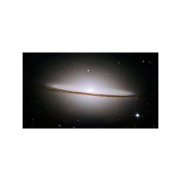 ■こちらの商品は海外倉庫からの取り寄せとなるため、お届けまでに5〜14営業日程度のお時間をいただいております。■ご注文後の取り寄せ状況はメールにて随時お知らせ致します。■稀に輸送による外箱のダメージや、税関検査による開封跡がある場合がござい...