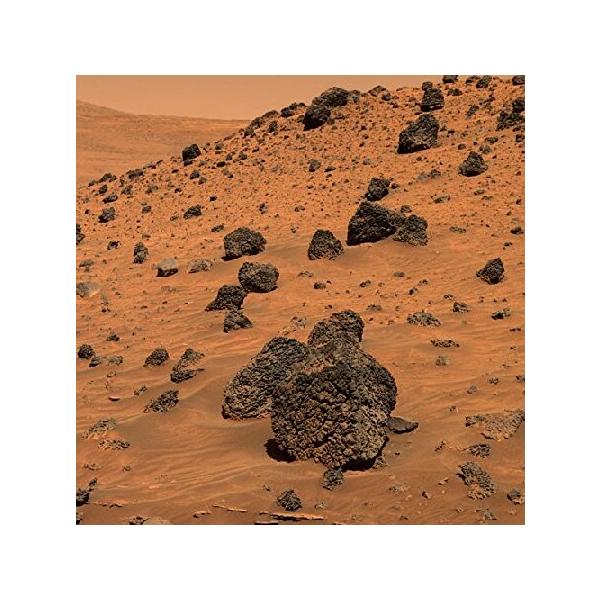 ■こちらの商品は海外倉庫からの取り寄せとなるため、お届けまでに5〜14営業日程度のお時間をいただいております。■ご注文後の取り寄せ状況はメールにて随時お知らせ致します。■稀に輸送による外箱のダメージや、税関検査による開封跡がある場合がござい...