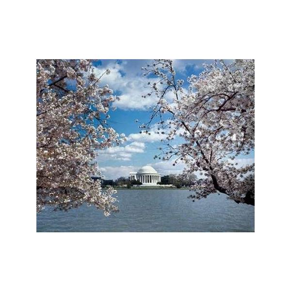 ■こちらの商品は海外倉庫からの取り寄せとなるため、お届けまでに5〜14営業日程度のお時間をいただいております。■ご注文後の取り寄せ状況はメールにて随時お知らせ致します。■稀に輸送による外箱のダメージや、税関検査による開封跡がある場合がござい...