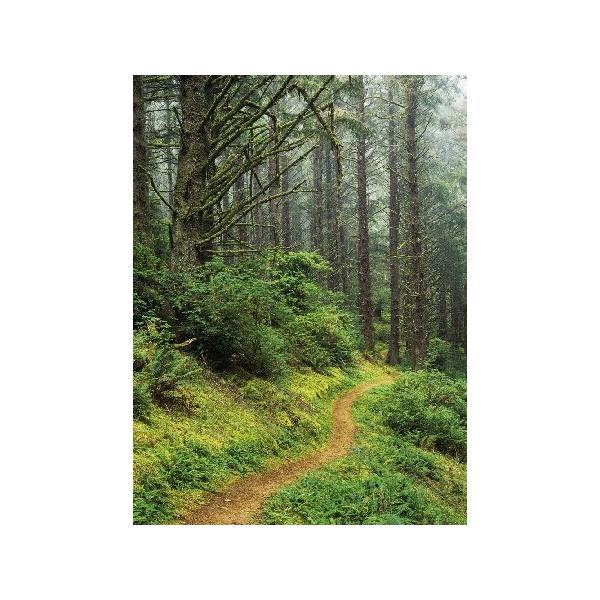 ■こちらの商品は海外倉庫からの取り寄せとなるため、お届けまでに5〜14営業日程度のお時間をいただいております。■ご注文後の取り寄せ状況はメールにて随時お知らせ致します。■稀に輸送による外箱のダメージや、税関検査による開封跡がある場合がござい...