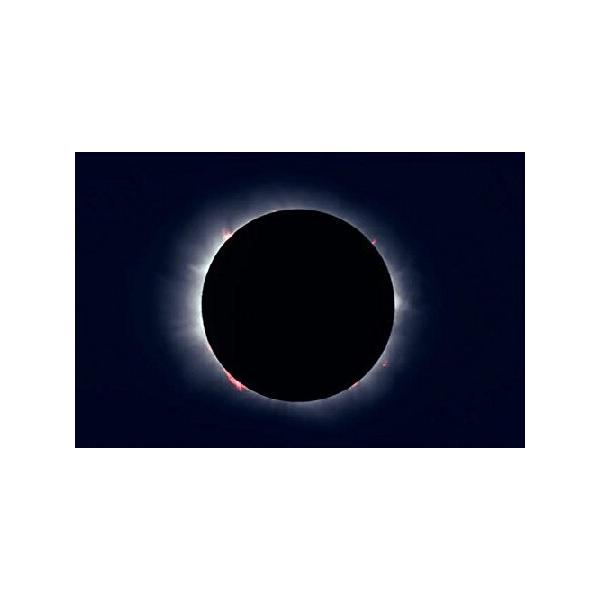 ■こちらの商品は海外倉庫からの取り寄せとなるため、お届けまでに5〜14営業日程度のお時間をいただいております。■ご注文後の取り寄せ状況はメールにて随時お知らせ致します。■稀に輸送による外箱のダメージや、税関検査による開封跡がある場合がござい...