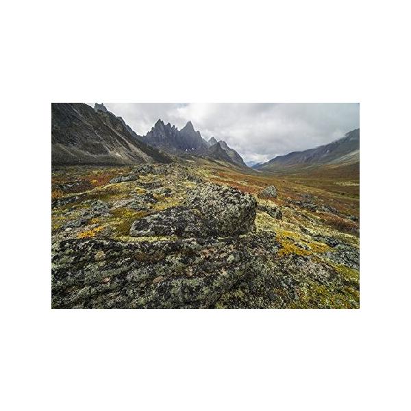 ■こちらの商品は海外倉庫からの取り寄せとなるため、お届けまでに5〜14営業日程度のお時間をいただいております。■ご注文後の取り寄せ状況はメールにて随時お知らせ致します。■稀に輸送による外箱のダメージや、税関検査による開封跡がある場合がござい...