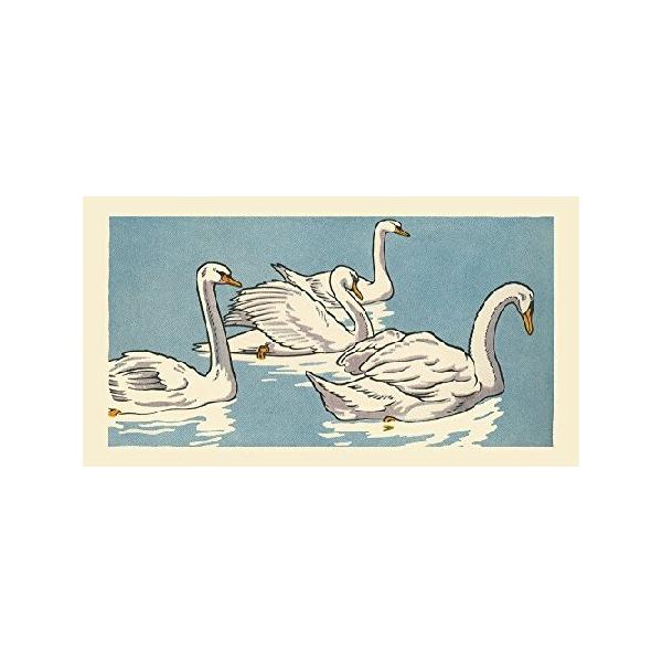 ■こちらの商品は海外倉庫からの取り寄せとなるため、お届けまでに5〜14営業日程度のお時間をいただいております。■ご注文後の取り寄せ状況はメールにて随時お知らせ致します。■稀に輸送による外箱のダメージや、税関検査による開封跡がある場合がござい...