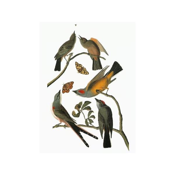 ■こちらの商品は海外倉庫からの取り寄せとなるため、お届けまでに5〜14営業日程度のお時間をいただいております。■ご注文後の取り寄せ状況はメールにて随時お知らせ致します。■稀に輸送による外箱のダメージや、税関検査による開封跡がある場合がござい...