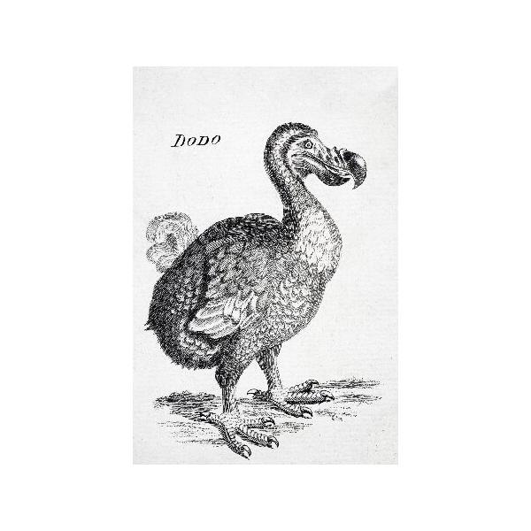 ■こちらの商品は海外倉庫からの取り寄せとなるため、お届けまでに5〜14営業日程度のお時間をいただいております。■ご注文後の取り寄せ状況はメールにて随時お知らせ致します。■稀に輸送による外箱のダメージや、税関検査による開封跡がある場合がござい...