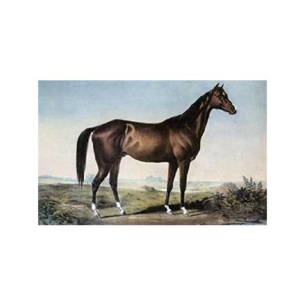 ■こちらの商品は海外倉庫からの取り寄せとなるため、お届けまでに5〜14営業日程度のお時間をいただいております。■ご注文後の取り寄せ状況はメールにて随時お知らせ致します。■稀に輸送による外箱のダメージや、税関検査による開封跡がある場合がござい...