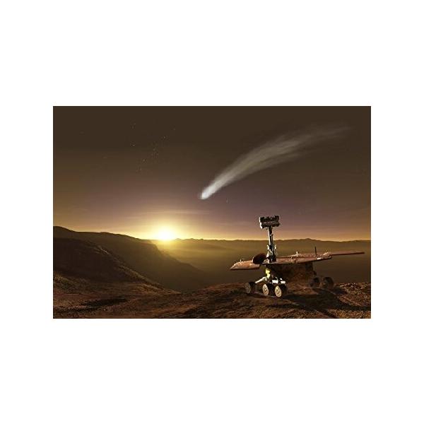 ■こちらの商品は海外倉庫からの取り寄せとなるため、お届けまでに5〜14営業日程度のお時間をいただいております。■ご注文後の取り寄せ状況はメールにて随時お知らせ致します。■稀に輸送による外箱のダメージや、税関検査による開封跡がある場合がござい...