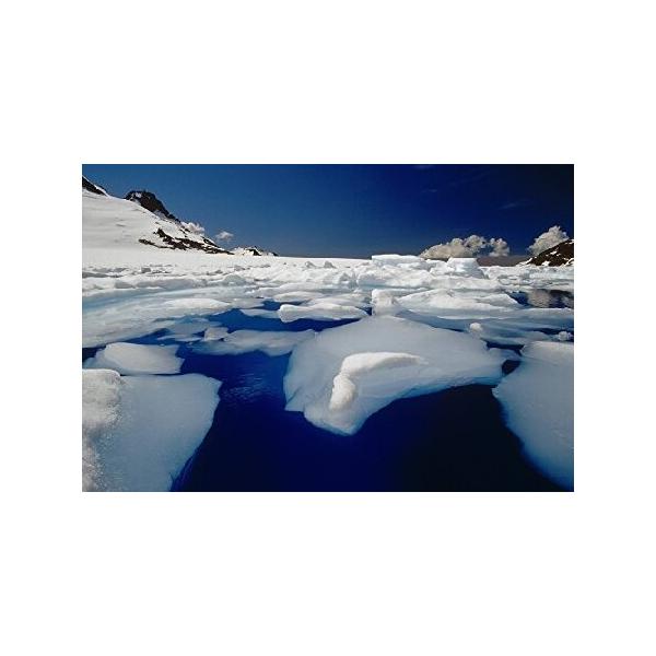 ■こちらの商品は海外倉庫からの取り寄せとなるため、お届けまでに5〜14営業日程度のお時間をいただいております。■ご注文後の取り寄せ状況はメールにて随時お知らせ致します。■稀に輸送による外箱のダメージや、税関検査による開封跡がある場合がござい...