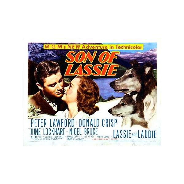 ■こちらの商品は海外倉庫からの取り寄せとなるため、お届けまでに5〜14営業日程度のお時間をいただいております。■ご注文後の取り寄せ状況はメールにて随時お知らせ致します。■稀に輸送による外箱のダメージや、税関検査による開封跡がある場合がござい...