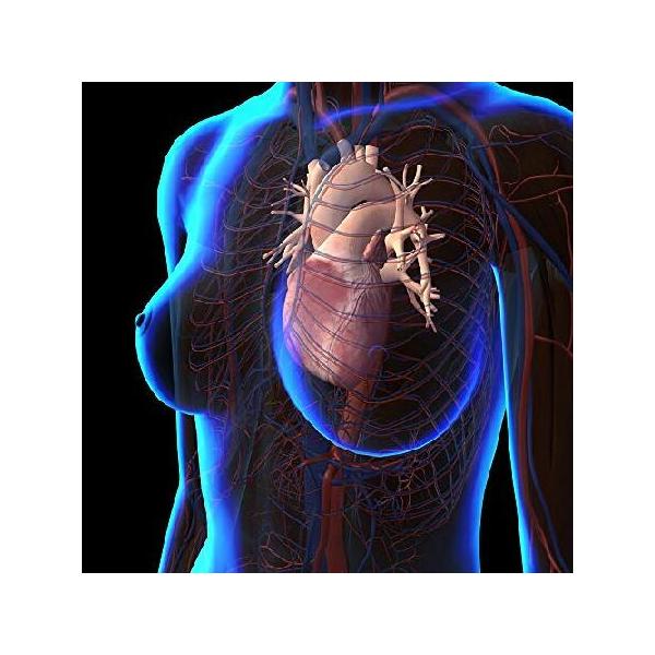 ■こちらの商品は海外倉庫からの取り寄せとなるため、お届けまでに5〜14営業日程度のお時間をいただいております。■ご注文後の取り寄せ状況はメールにて随時お知らせ致します。■稀に輸送による外箱のダメージや、税関検査による開封跡がある場合がござい...