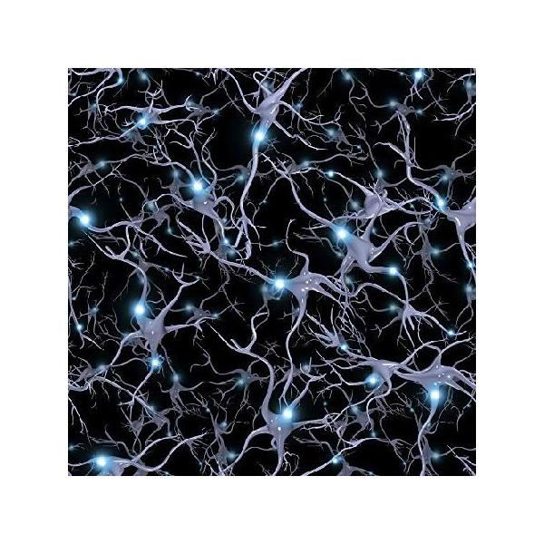 ■こちらの商品は海外倉庫からの取り寄せとなるため、お届けまでに5〜14営業日程度のお時間をいただいております。■ご注文後の取り寄せ状況はメールにて随時お知らせ致します。■稀に輸送による外箱のダメージや、税関検査による開封跡がある場合がござい...