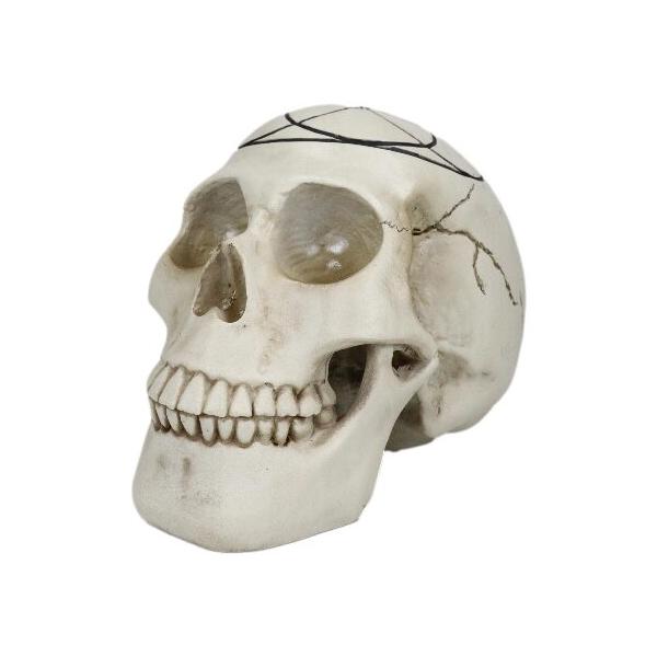 ■こちらの商品は海外倉庫からの取り寄せとなるため、お届けまでに5〜14営業日程度のお時間をいただいております。■ご注文後の取り寄せ状況はメールにて随時お知らせ致します。■稀に輸送による外箱のダメージや、税関検査による開封跡がある場合がござい...