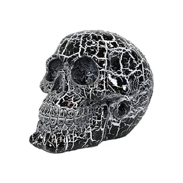 ■こちらの商品は海外倉庫からの取り寄せとなるため、お届けまでに5〜14営業日程度のお時間をいただいております。■ご注文後の取り寄せ状況はメールにて随時お知らせ致します。■稀に輸送による外箱のダメージや、税関検査による開封跡がある場合がござい...