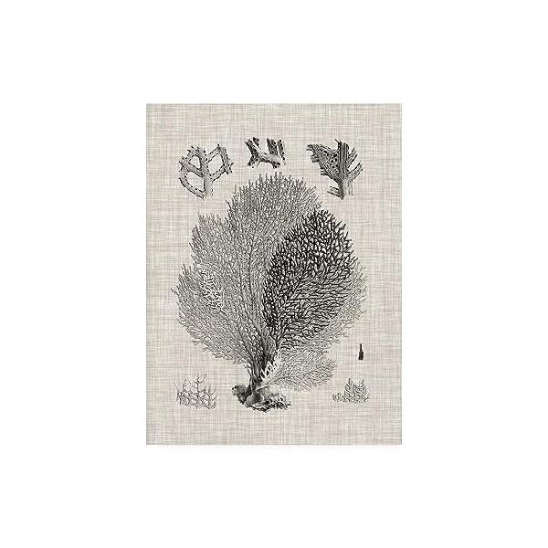 ■こちらの商品は海外倉庫からの取り寄せとなるため、お届けまでに5〜14営業日程度のお時間をいただいております。■ご注文後の取り寄せ状況はメールにて随時お知らせ致します。■稀に輸送による外箱のダメージや、税関検査による開封跡がある場合がござい...