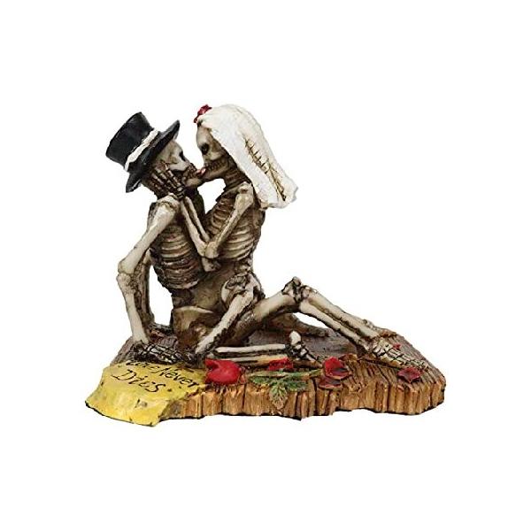 ■こちらの商品は海外倉庫からの取り寄せとなるため、お届けまでに5〜14営業日程度のお時間をいただいております。■ご注文後の取り寄せ状況はメールにて随時お知らせ致します。■稀に輸送による外箱のダメージや、税関検査による開封跡がある場合がござい...